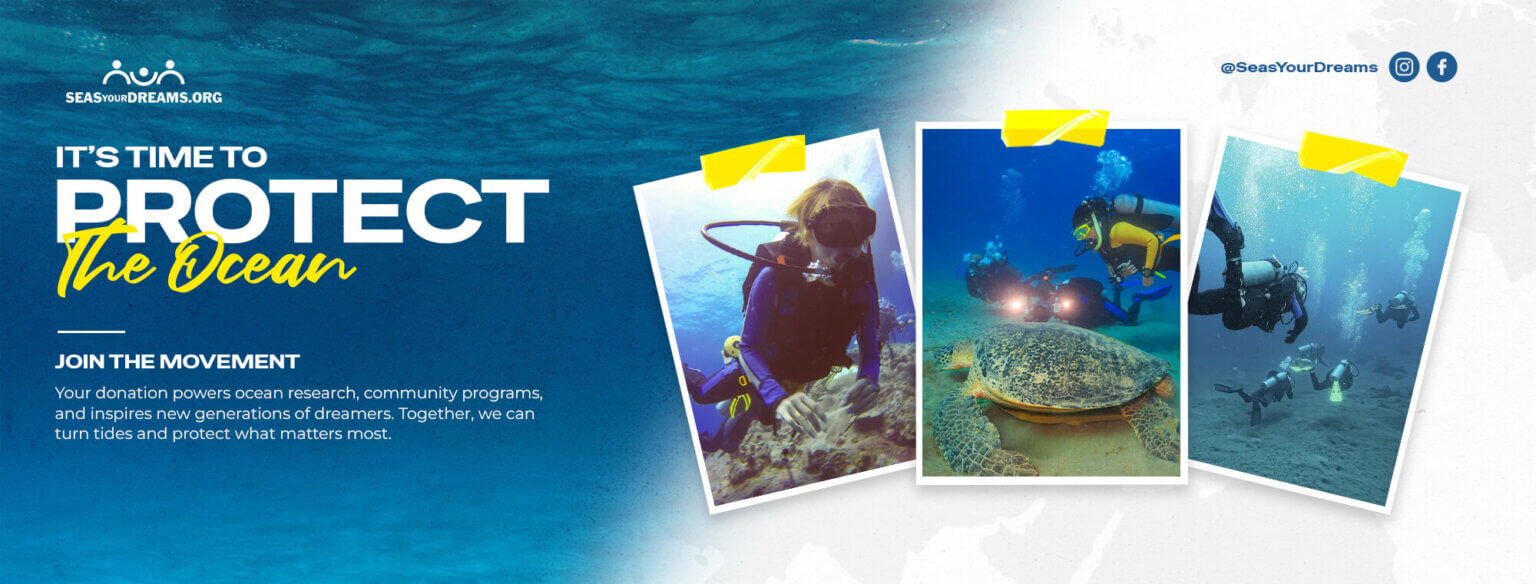 Ocean Pollution Facts and Statistics | Shocking Data